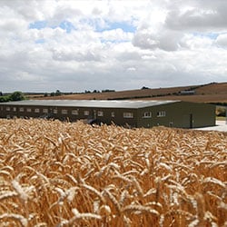 RAGT - Experts in Seed Breeding, Production, and Innovation